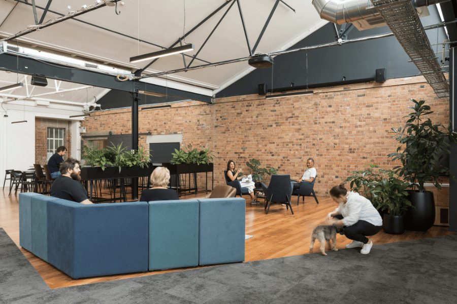 Coworking Space in Auckland | Learn, Meet & Grow
